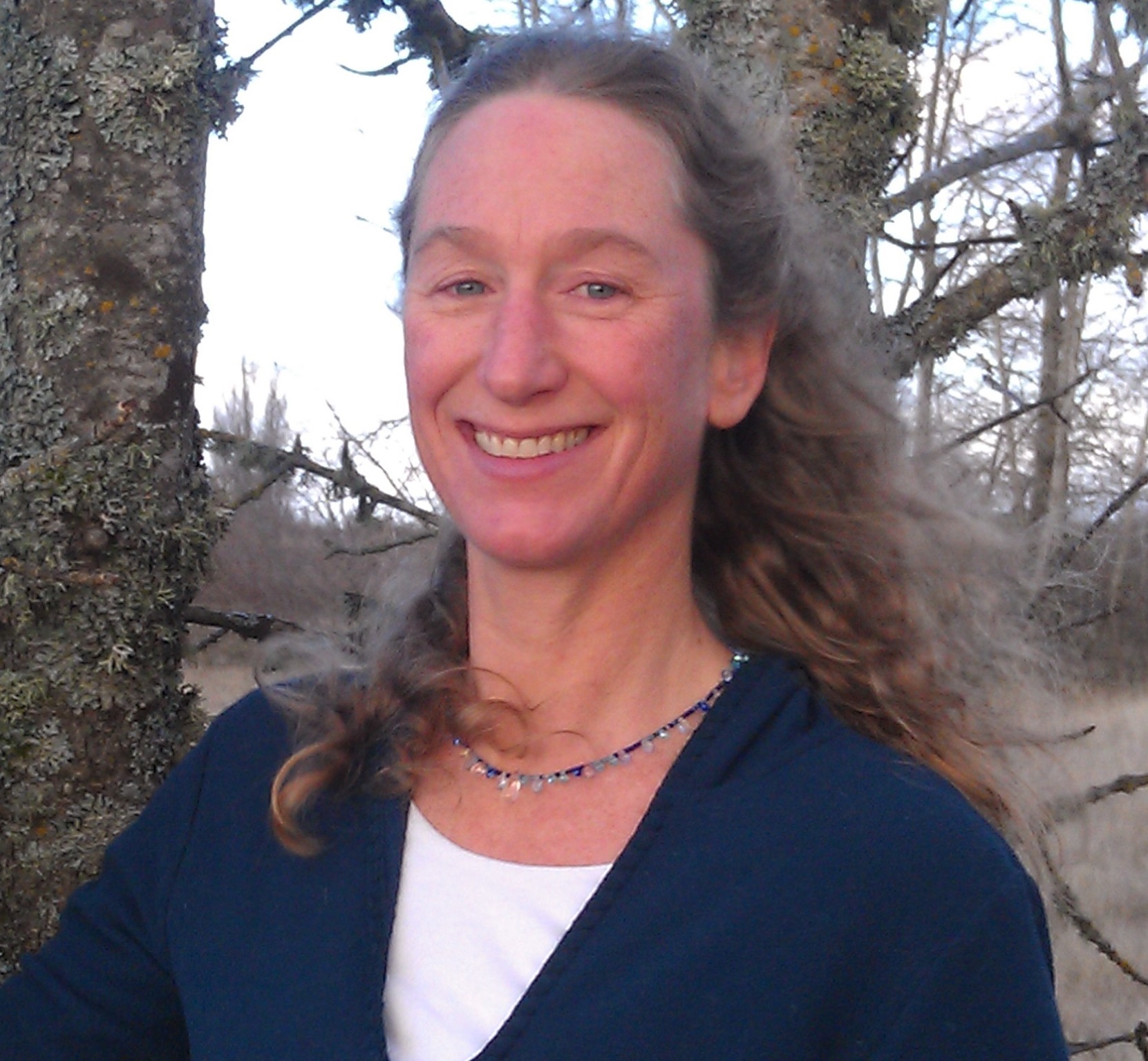 About Us - SIBO Center