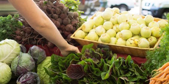 Sample Grocery Lists - SIBO Center